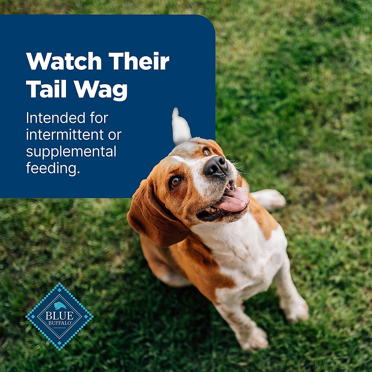 Blue Buffalo Nudges Jerky Cuts Dog Treats, Made in the USA with Natural Ingredients, Chicken & Duck, 10-oz. Bag