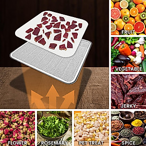 15 Pack Silicone Dehydrator Sheets,Non-stick Food Fruit Dehydrator Mats Reusable Steamer Mesh Mat for Fruit Dryer,Dehydrator Liner,Silicone Dehydrator Trays(14.4 x 14.4 inch)