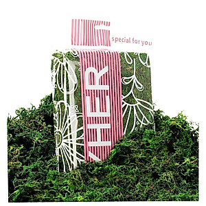 Byher 92926 Preserved Forest Moss, Fresh Green (8OZ)