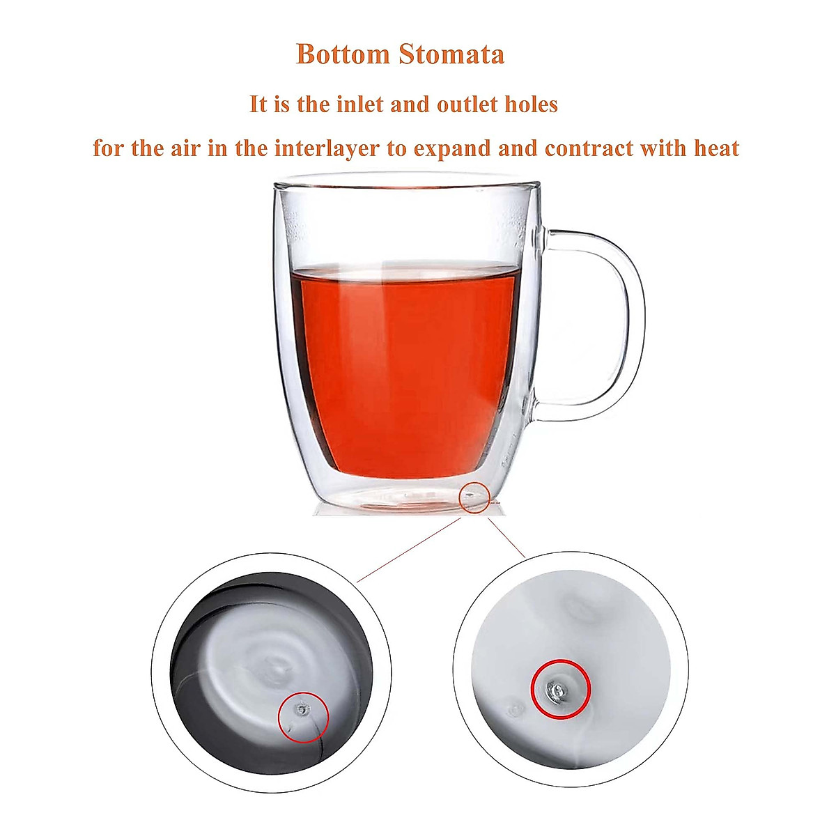 ANTOWALL 12oz Coffee Mug Insulated Clear Double Wall Glass Coffee Mugs 1 Pcs Tea Cups Fathers Gifts with Handle for Women and Man. (350ml)