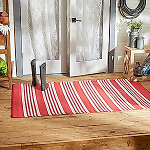 DII Outdoor Rug Collection Reversible Woven Polypropylene Plastic Straw Mat, 4x6-Feet, Coral