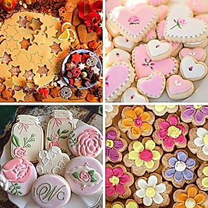 Cookie Cutters Biscuit Shapes Set, 12PCS Cookie Pastry Fruit Vegetables Stainless Steel Molds Cutters | Heart Star Circle Flower Shaped Mold Cookie Cutters For Halloween Christmas Valentine