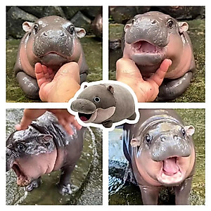 Moo Deng Plush Moo Deng Plushie, 2024 Moo Deng Hippo Plush - 16" Cute Pygmy Hippo Plushie Toy, Soft Baby Hippopotamus Stuffed Animal Pillow for Kids and Adults (1 Pcs)