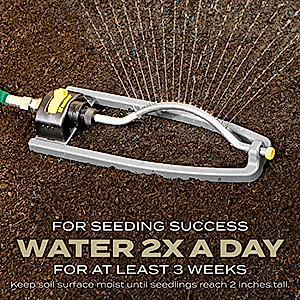 Scotts Turf Builder Grass Seed Southern Gold Mix for Tall Fescue Lawns with Fertilizer and Soil Improver, 2.4 lbs.