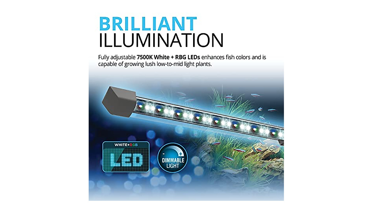 Fluval Flex 9 Gallon Aquarium Kit – Stylish & Functional