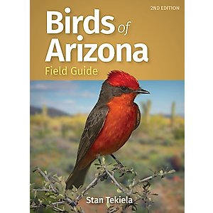 Birds of Arizona Field Guide (Bird Identification Guides)
