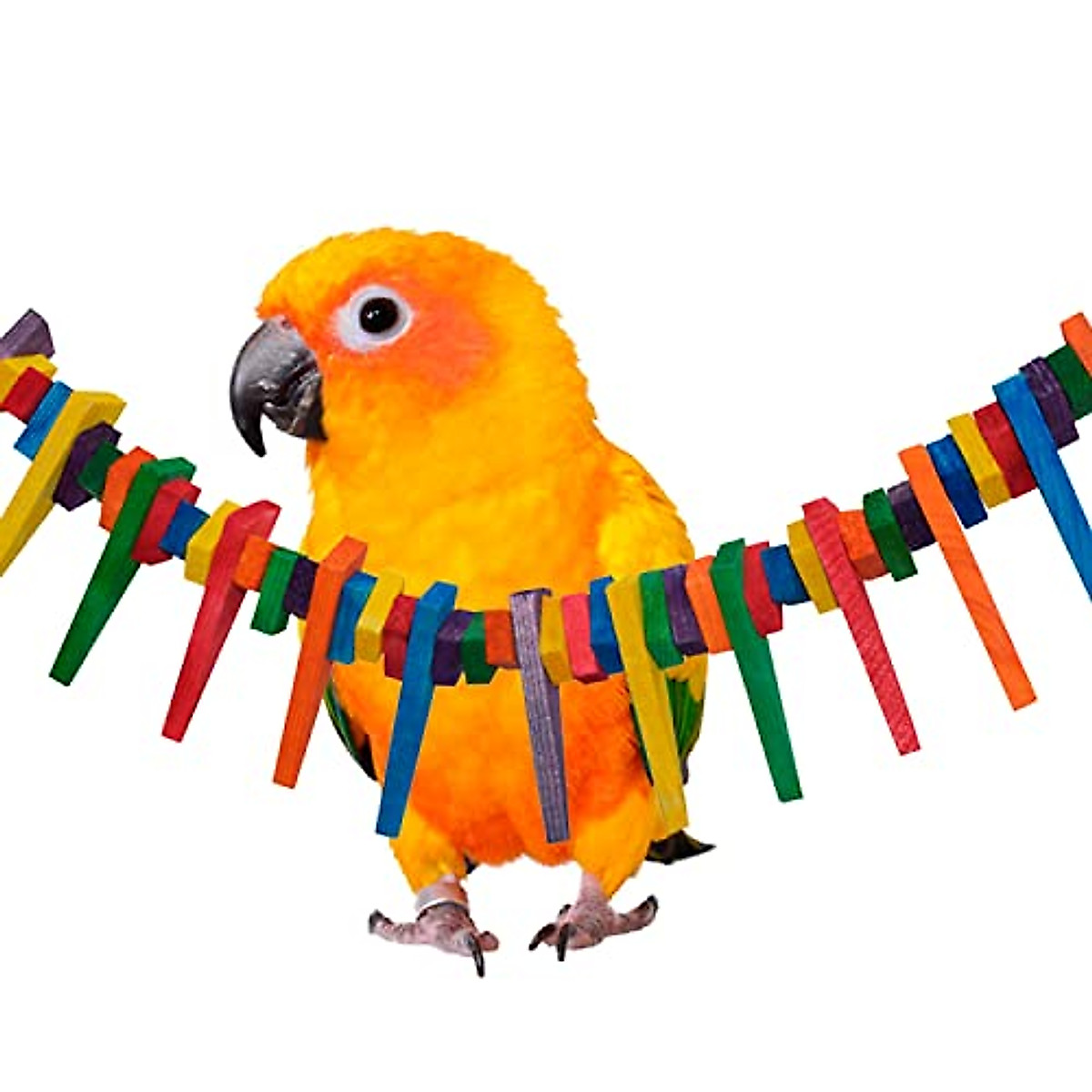 Super Bird Creations SB466 Mini Triangle Teaser Bird Toy, Medium Bird Size, 16" x 3" x 2"