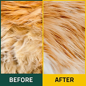 Breezytail PetO'Cera Mist Sensitive - Itch Relief Spray for Cats | Fragrance-Free & Unscented | Regain Healthy Skin with Ceramide | Dry, Irritated Skin Solution | 5.07oz…