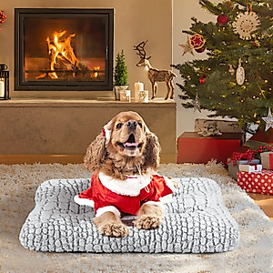 Dog Bed Crate Pad Pet Cushion Crate Mat Puppy Bed for Small Dogs Soft Fluffy Kennel Pad for Dog Crate, Anti-Slip Comfy Small Dog Bed