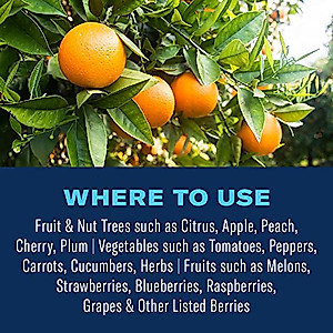BioAdvanced Fruit & Citrus Tree, Concentrate, for Insects 32 oz