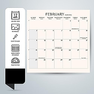 Wall Calendar 2024 12" x 12" FSC® Plastic Free - Starts Week On Sunday | Square Wall Calendar 2024 | Family Planner Calendar 2024 | 2024 Calendar (Birds 2024)