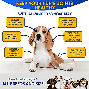 Synove Max Soft Chews for Dogs (240 Count) Beef Flavor, Joint Supplement, Glucosamine, Turmeric, Boswelllia serrata, Creatine Naturally Derived Ingredients better than synovi g4 soft chew