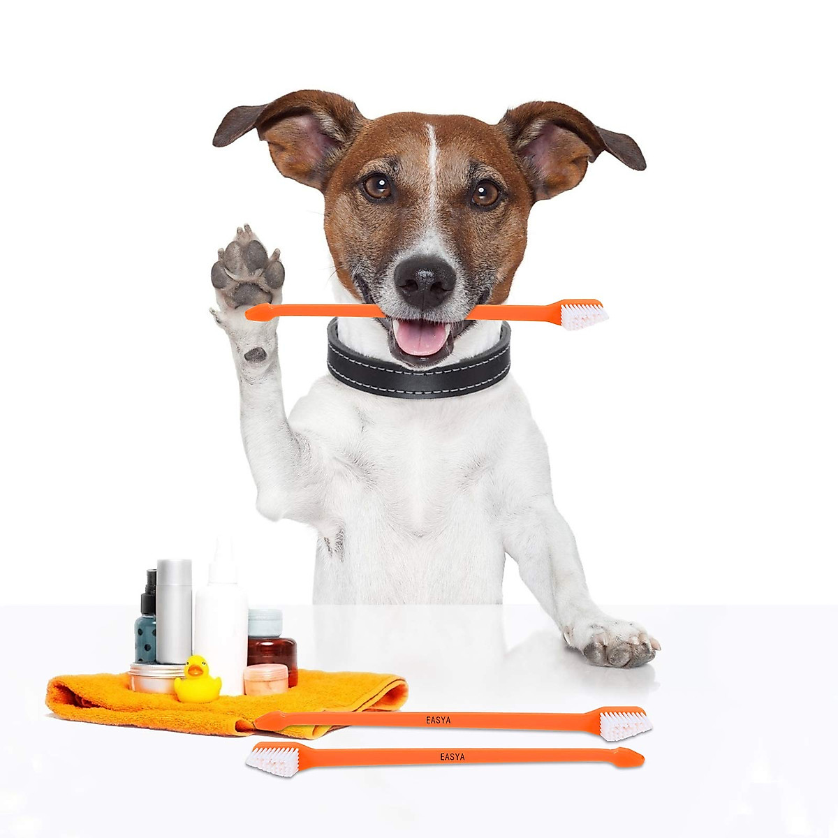 EASYA Double Headed Pet Dog Toothbrush for Small Dogs/Soft Bristles Puppy Long Handle Tooth Brush Dogs Teeth Cleaning/Bulk Toothbrushes Dental & Oral Care… (MIXED10)
