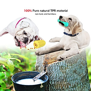 PTFBOY Dog Chew Toys for Aggressive Chewers Small Medium Breed, Dog Squeaky and Rope Toys,Tug of War Large Dog Chew Toothbrush Toys Dog Teeth Cleaning Indestructible Durable Tough Toys 2 Packs