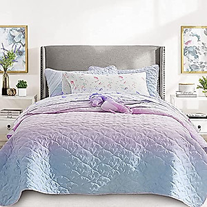 DREAMCLOUD HOME Quilt Set Full Queen Size 3 Piece, Bailey Pattern Printed Bedding Coverlet Set, Lightweight Soft Reversible Bedspread Sets for All Season (1 Quilt & 2 Pillow Shams)