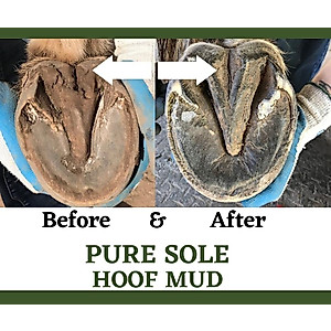 Pure Sole Hoof Mud - an All Natural Hoof Clay for Horses - an Effective Horse Hoof Care Product for Thrush Treatment, White Line, and Hoof Wall Separation. Use Regularly for A Healthy Hoof - 16oz.