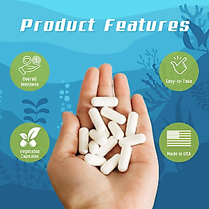 Daily Health, Coral Calcium Pure Okinawa - Marine-Grade Supplement with 72 Trace Minerals - 1475mg, 90 Vegetable Capsules (1 Month Supply)