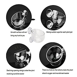 Crystal Glass Aquatic Plant Cup Pot Holder,Fashionclubs Aquarium Tank Live Plant Glass Pot Red Shrimp Holder with 2 Suckers,Fish Tank Aquascape Decor,2-Pack