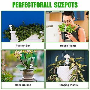 4pcs Plant Watering Globes, Watering Globes Glass Rainbow Clear Self Watering Bulbs for Plants Watering Bulbs Automatic Plant Waterer for Indoor Outdoor Plants Flowers Garden Water Device