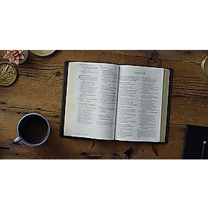 ESV Large Print Thinline Reference Bible (Brown)