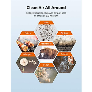 HEPA H13 Air Purifier for Home, Allergies Smoke Pollen Pets, Home Air Cleaner Filtration System, Odors Dust, Sleep Mode Timer Auto Mode