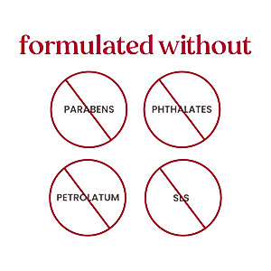 Burt's Bees Lip Balm - Pomegranate, Lip Moisturizer With Responsibly Sourced Beeswax, Tint-Free, Natural Origin Conditioning Treatment, 2 Tubes, 0.15 oz.