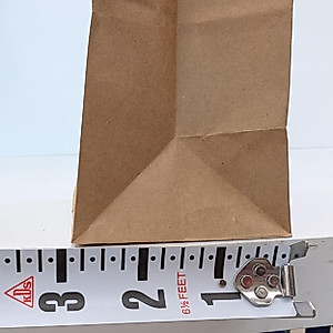 Crime Scene Paper Evidence Bags (Small)