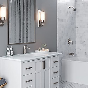 Pfister Willa Bathroom Sink Faucet, Single Control, 1-Handle, Single Hole, Spot Defense Brushed Nickel Finish, LF042MALGS