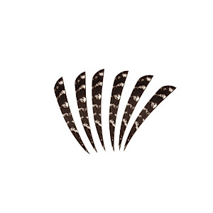 MILUWOND Parabolic Arrow Feather Fletching Natural Stripe Left Wing for Wooden Carbon Arrow(50 Pack) (5 Inch)