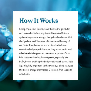 Nature's Sunshine Energ-V 100 Capsules