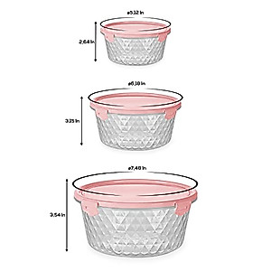 Plasvale Food Storage Plastic Containers Set of Crystal Line - 6 Pieces - Microwave, Freezer and Dishwasher Safe - BPA Free (Rose)