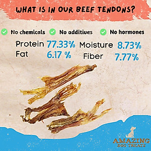 Amazing Dog Treats - Wishbone Beef Tendon - 60 Count - Meaty Thick Bully Tendon Dog Chews - Long Lasting Beef Tendons for Dogs - Best Bully Stick Tendons - No Hide Dog Chew