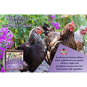 Kalmbach Feeds Henhouse Reserve Lavender Flavored Treat Block for Chickens, 20 lb