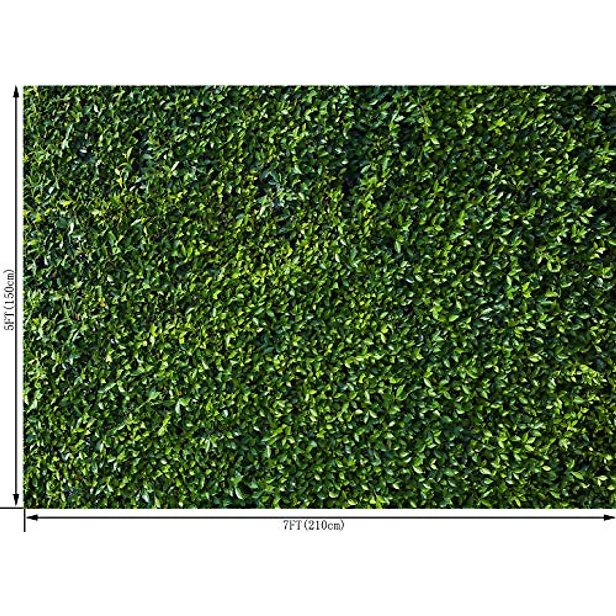 OUYIDA Green Leaves Photography Backdrops Grass Backdrop Wall Greenery Safari Party Decoration Photoshoot Newborn Baby Shower Backdrop Wedding Birthday Photo Background Studio Props Booth 7x5FT PCK41