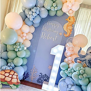 Under the Sea Party Decorations 146Pcs Dusty Green Blue Pastel Orange Balloon Garland Arch Kit with Transparent Bubble Balloons for Ocean Animals Theme Kids Birthday Party Baby Shower Supplies