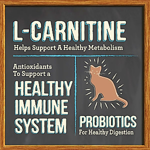 Merrick Purrfect Bistro Grain Free, Healthy, and Natural Dry Cat Food, Complete Care Sensitive Stomach Recipe - 4 lb. Bag