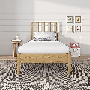 NapQueen 5 Inch, Twin Mattress, Memory Foam White Mattress - Medium Feel - CertiPUR-US Certified - Twin Bed Mattress in a Box, Breathable & Washable Soft Fabric Cover