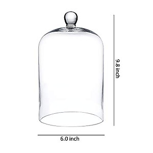 WHOLE HOUSEWARES | Cloche Glass Dome | Clear Glass Bell Jar | DIY Snow Globes | Decorative Cloche Jar | Glass Cloche to Cover Plants and Decorations | Cloche Jar for Home Décor (6"x10")
