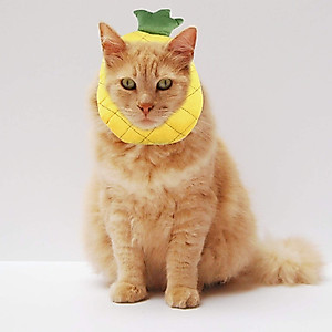 balacoo Elizabeth Circle Cat Healing Collar Small Puppy Collar Catton cat Collar Bite Collar Cat Neck Collar Puppy Collars Adjustable Cat Collar Dog Collar pet Fabric Headgear