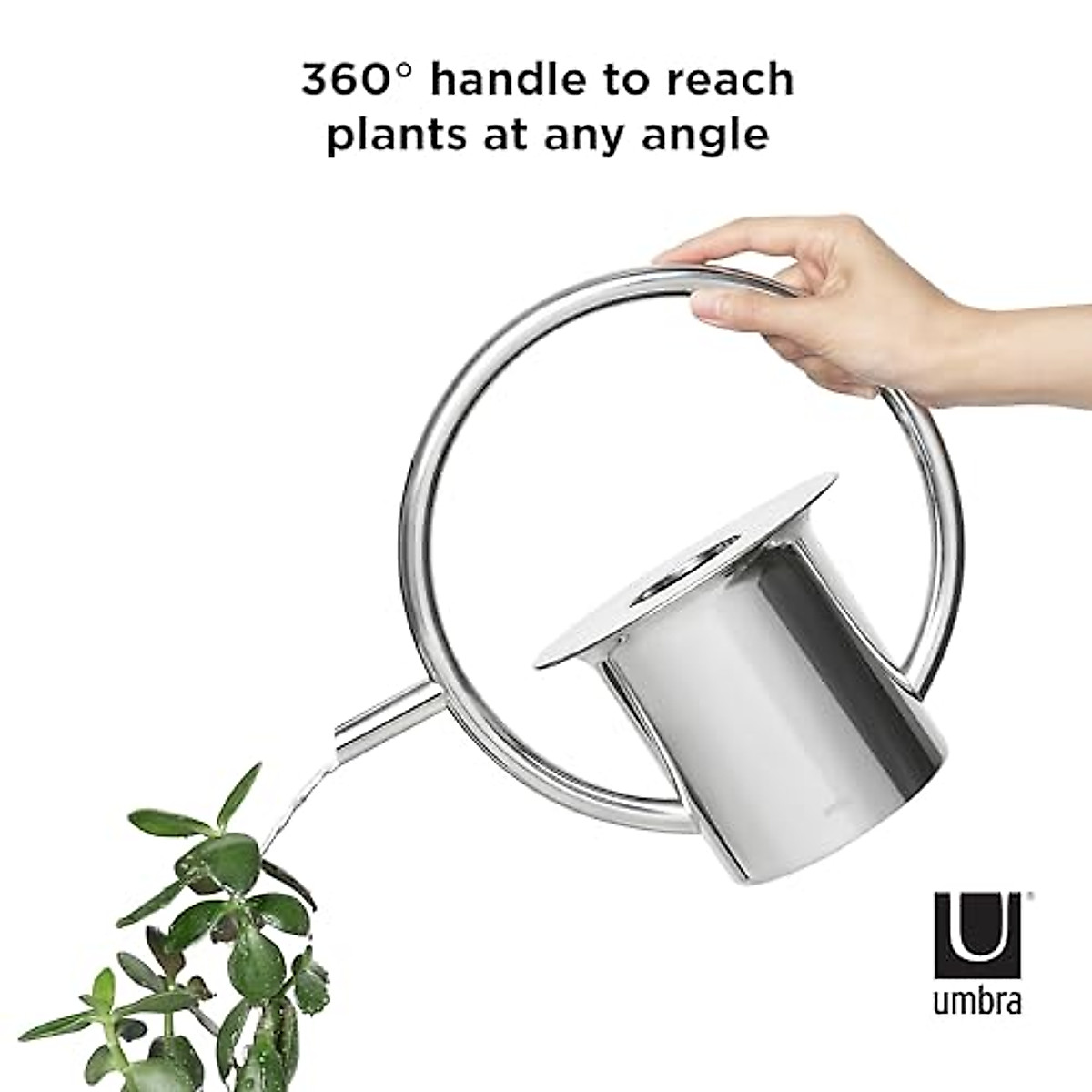 Umbra Quench Stainless Steel Watering Can, Pot for Outdoor or Indoor Plants, Medium