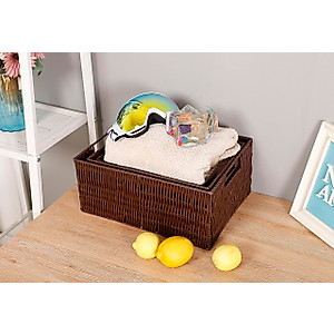 Elevon Handmade Storage Basket Set of 3, Plastic Wicker Baskets for Organizing with Handles, Storage Bins for Home Kitchen Countertop, Shelf Organizer, Waterproof, Coffee