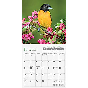 Audubon Songbirds Mini Wall Calendar 2021