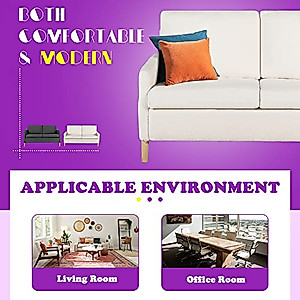 TYBOATLE Modern Small Loveseat Sofa with 2 USB Charging Ports, 55"W Teddy Short Fleece Fabric Soft Couches, Upholstered 2-Seater Suitable for Small Spaces, Living Room, Office, Apartment (Cream White)