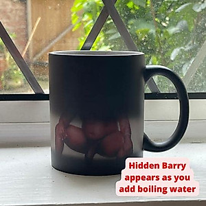 Barry Wood Sitting On Bed Meme Mug - Funny Rude Mug - Message Appears as it Heats - Perfect Novelty Gag Gift - Office Joke