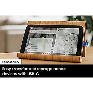 Samsung Type-C™ USB Flash Drive, 256GB, Transfers 4GB Files in 11 Secs w/Up to 400MB/s 3.13 Read Speeds, Compatible w/USB 3.0/2.0, Waterproof, 2022, Blue, MUF-256DA/AM