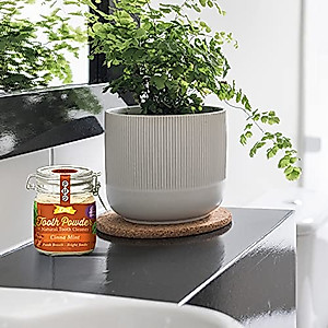 The Dirt Tooth Powder - Fluoride Free - Remineralizing with Essential Oils & Bentonite Clay - Natural Toothpaste Alternative - Available in 6 Flavors (Cinna Mint, 51g: 6 Month Supply)