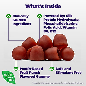 Natrol Cognium Complete Gummies, Brain Health Support, Improves Memory & Clarity, Fruit Punch Flavored Dietary Supplement, Drug Free, 100mg, 50 Gummies