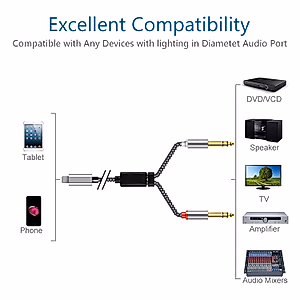 Lighting to Dual 6.35mm 1/4" TS Mono Stereo Y-Cable Splitter Lightnoing to Dual 1/4 inch Audio Cable Compatible for i-Phone14/13/12/11/X/8/7/iPad,Amplifier, Speaker, Headphone, Mixing Console 6.6FT