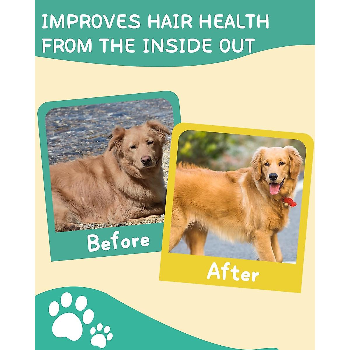 Skin and Coat Chews for Dogs - Omega 3 Supplement for Dogs with EPA & DHA Fatty Acids- Fish Oil Chews for Dogs with Salmon Oil & Vitamins - Dog Itchy, Dry & Shedding Skin Relief- Chicken, 120 Chews