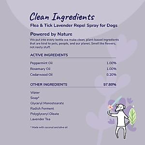 kin+kind | Plant-Based Flea and Tick Spray for Dogs (12 fl oz) | Lavender